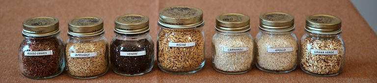 Food and wine in Piedmont, Northern Italy plus recipe for Tiramisu ...