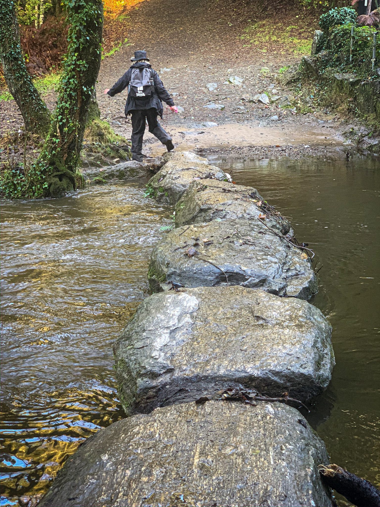The greedy pilgrim's path: walking 120 kilometres to Santiago ...