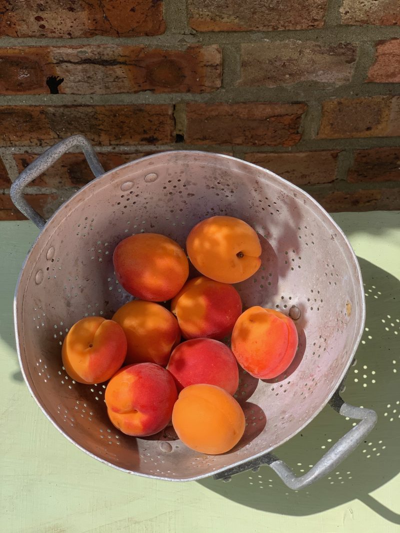 Tuesday 11th August, a Socially Distanced Outdoor Supper Club ...