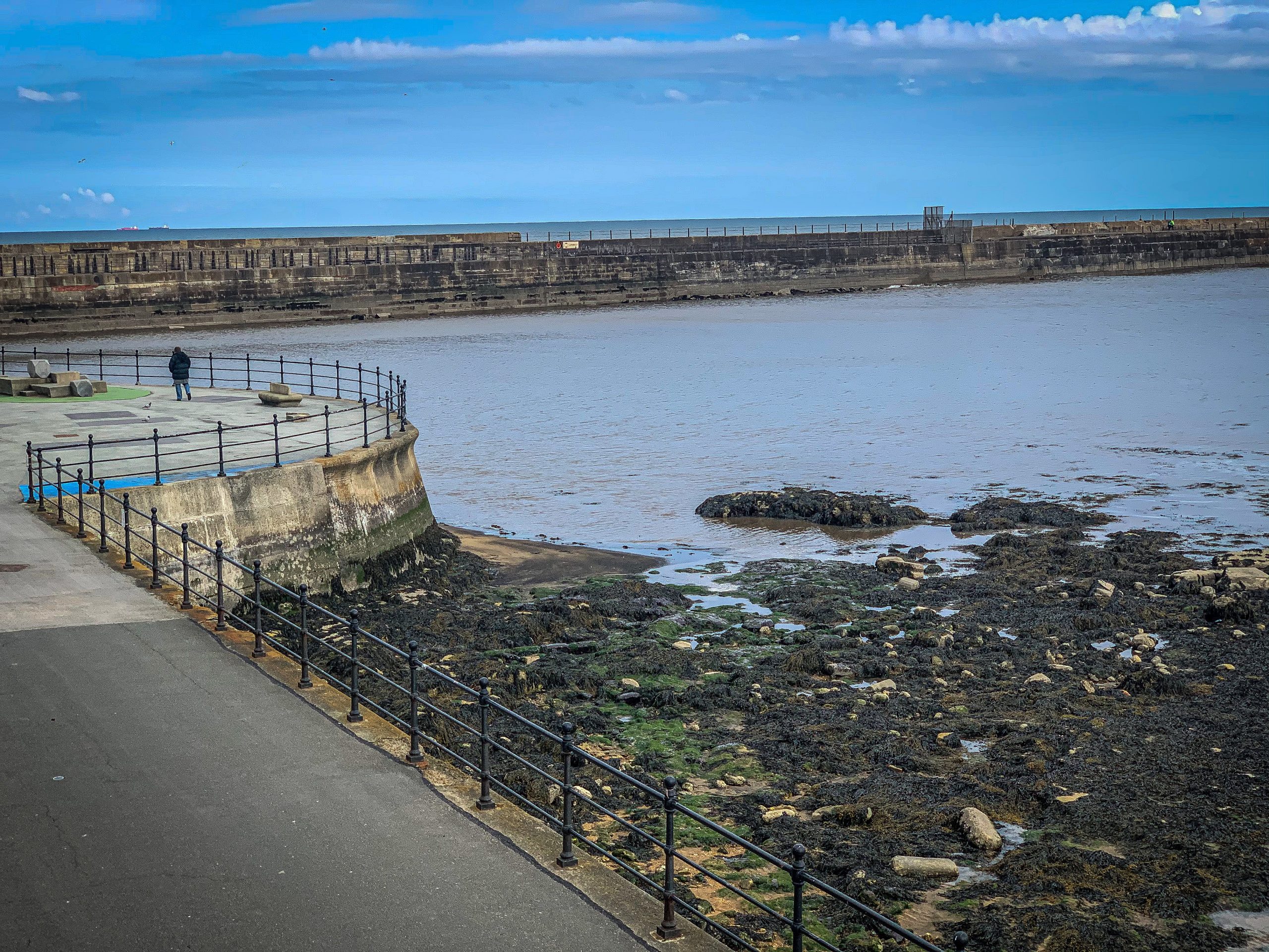 Parmo and politics in Hartlepool - MsMarmiteLover